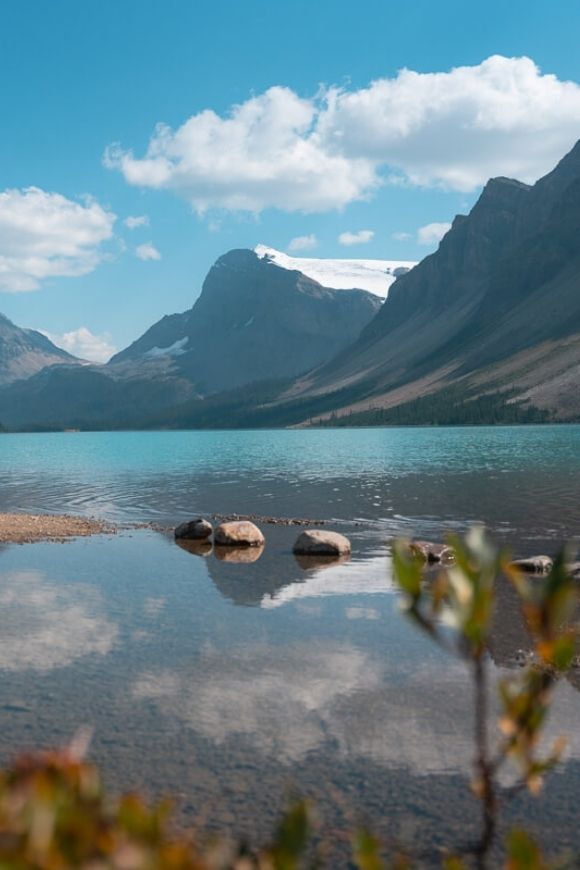 Bow Lake: Your Ultimate Guide (2025)